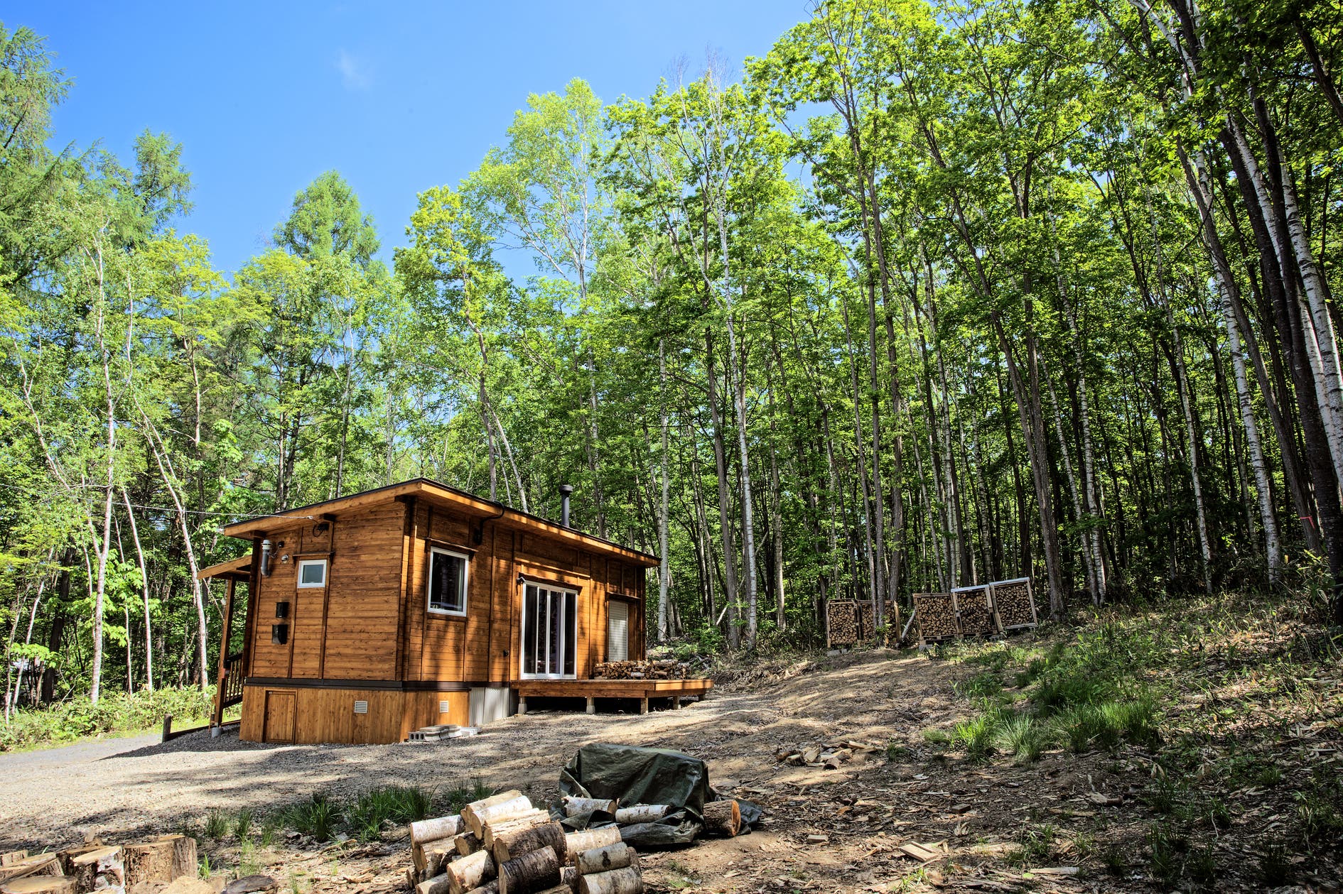 【商用不可】東京ドーム1.6個分の森があるレンタルスペースの写真12
