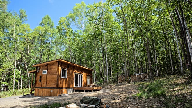 【商用不可】東京ドーム1.6個分の森があるレンタルスペースの写真12