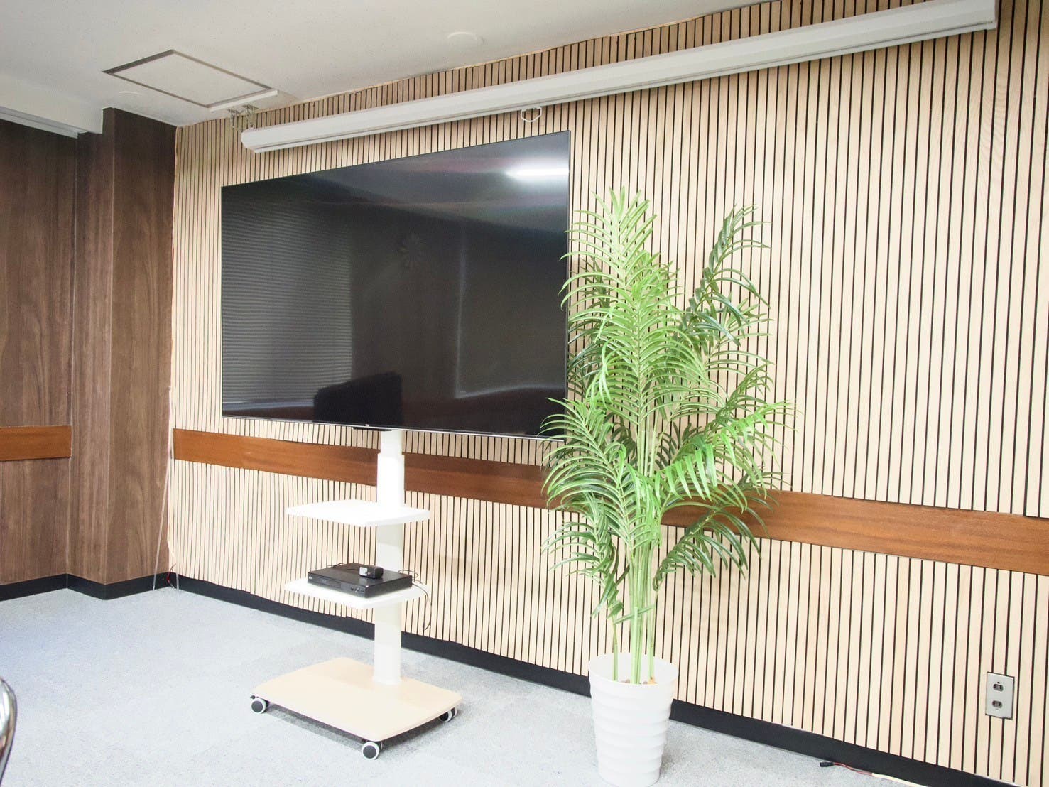 テレビ (65インチ)の画像1