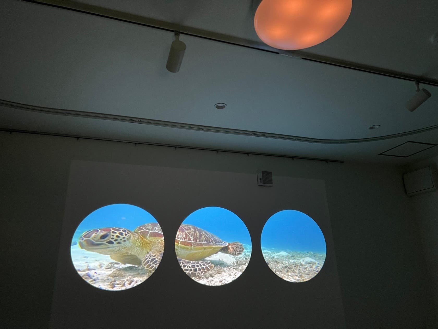 木場駅から徒歩6分。清潔感のあるレンタルスペースです。の写真4