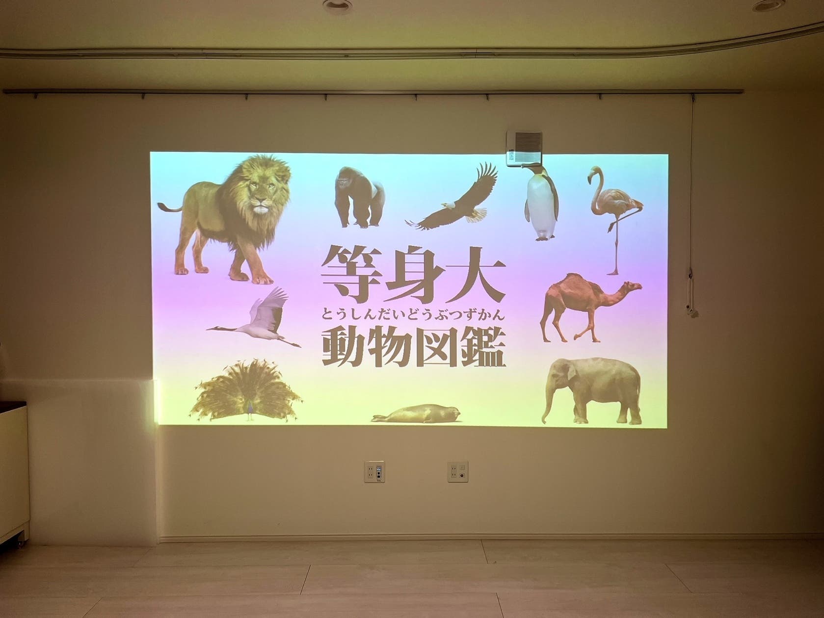 木場駅から徒歩6分。清潔感のあるレンタルスペースです。の写真5