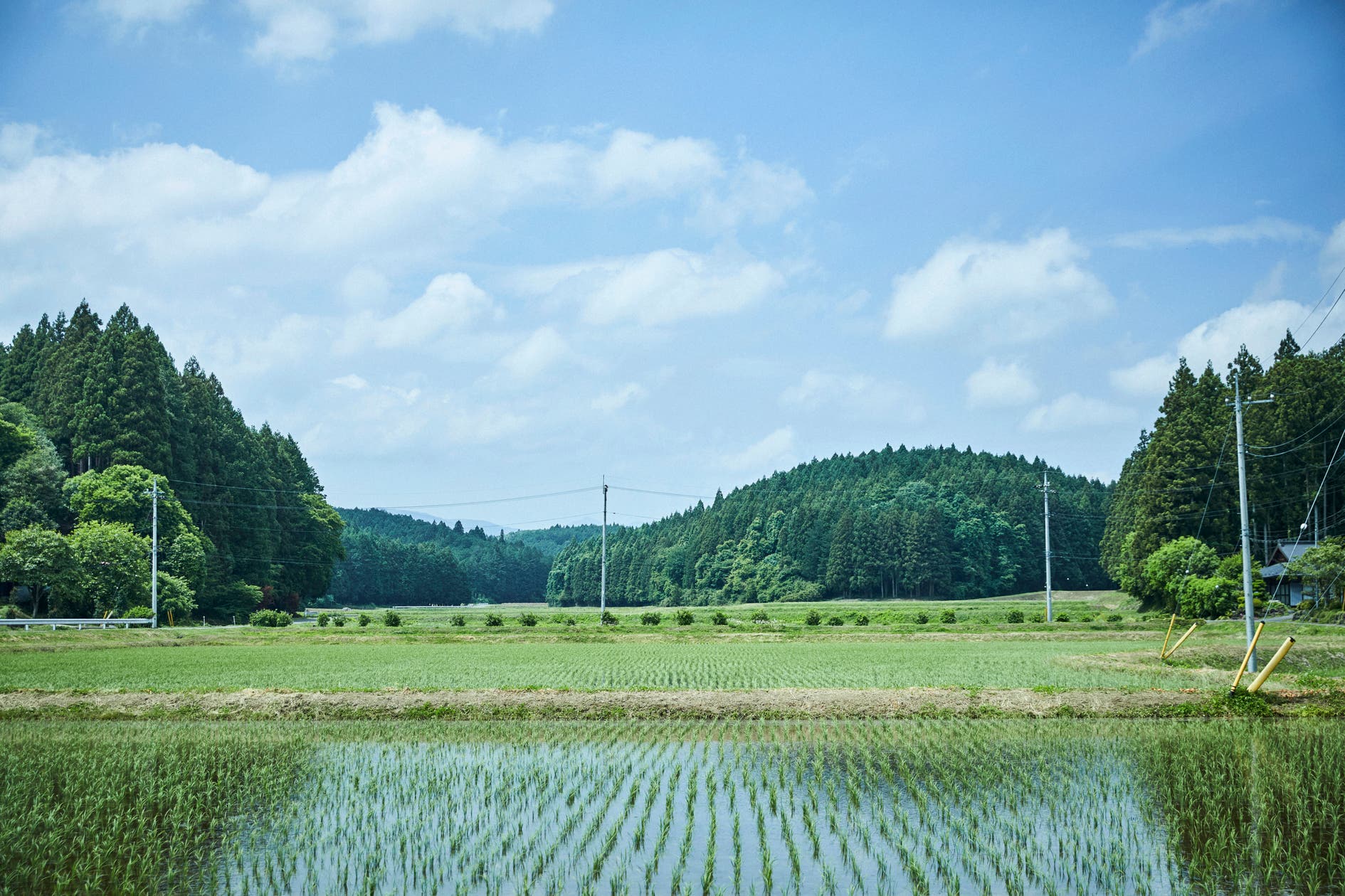 大自然に囲まれたアトリエ・多目的スペースの写真12