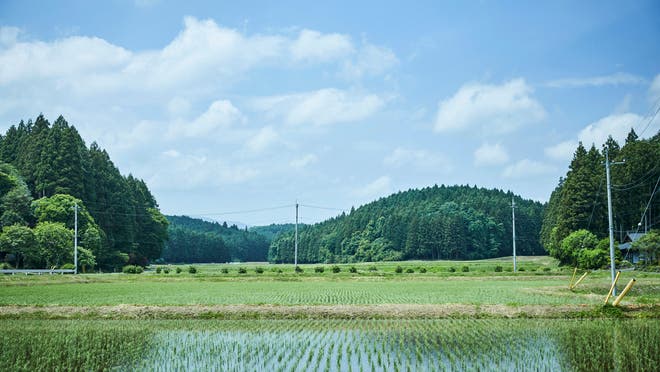大自然に囲まれたアトリエ・多目的スペースの写真12