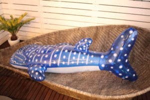 貸し出しプール　2の画像5