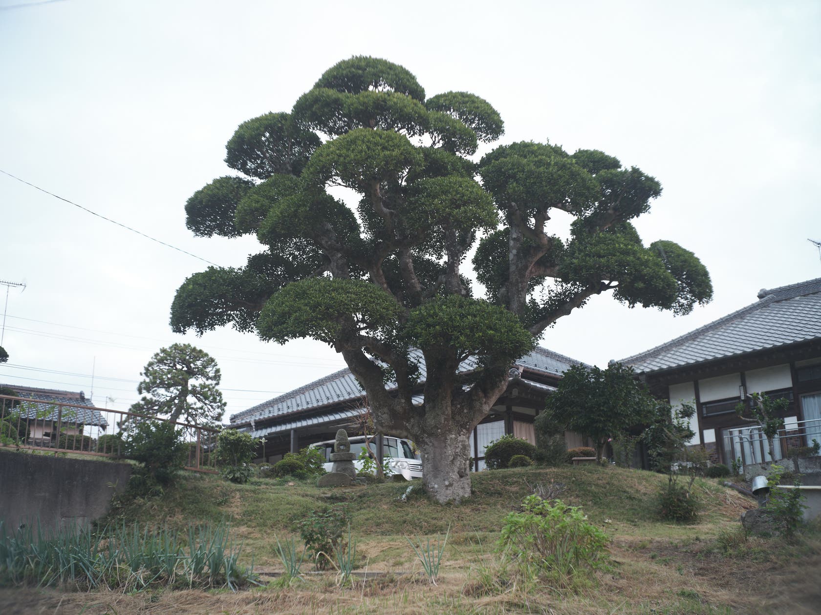 築60年 昭和の雰囲気漂う整備の行き届いた古民家の写真18