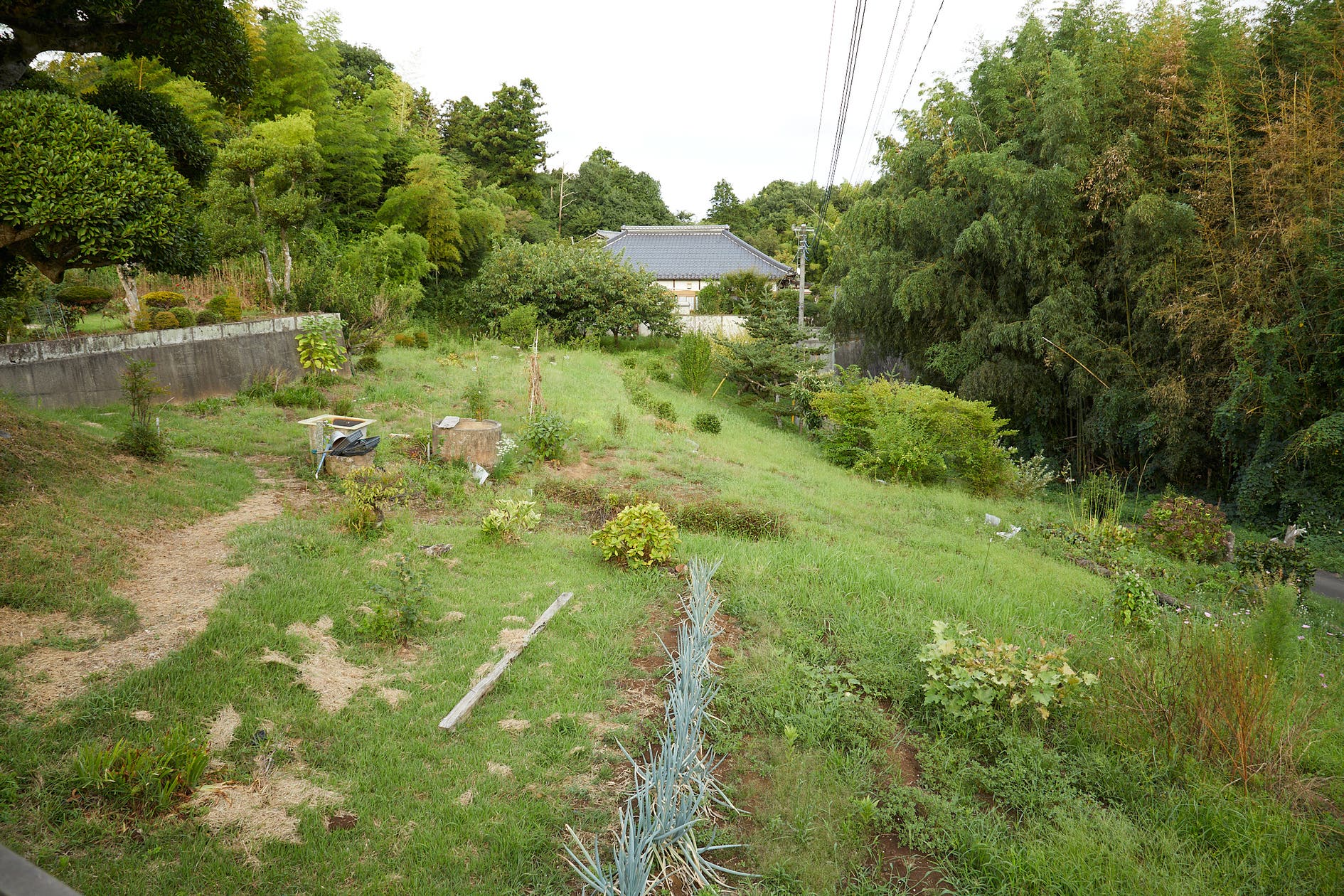 築60年 昭和の雰囲気漂う整備の行き届いた古民家の写真20