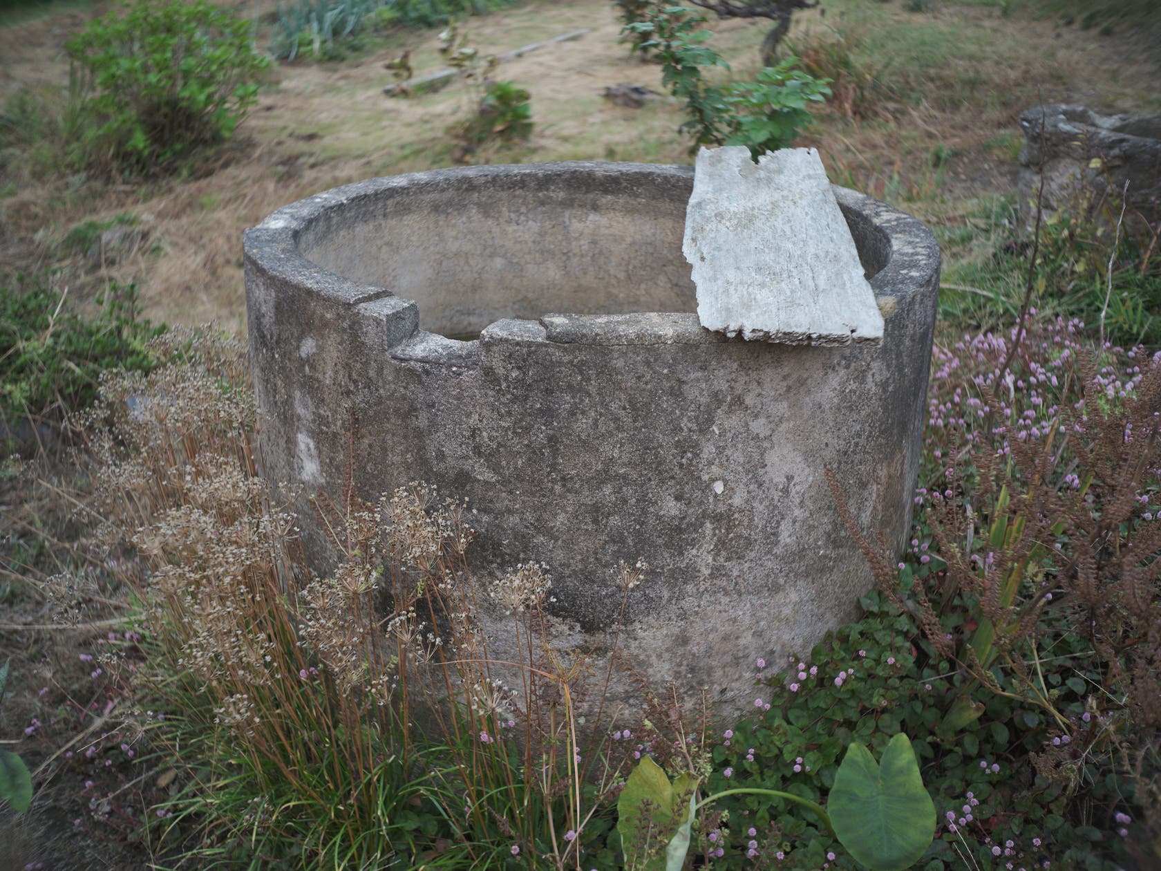 築60年 昭和の雰囲気漂う整備の行き届いた古民家の写真21