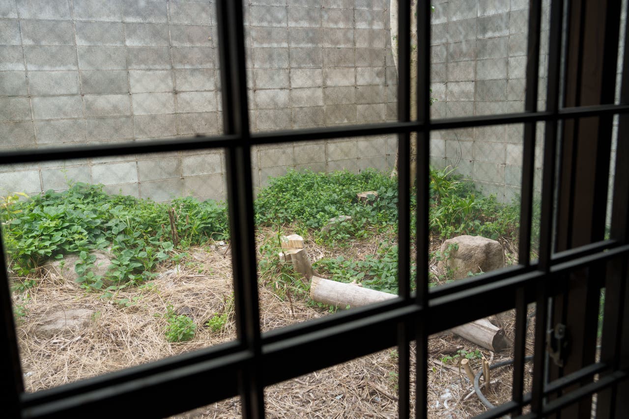 【トコテン廃墟スタジオ】MV撮影、PV撮影、コスプレ撮影、映画やドラマロケにも最適です！の写真17