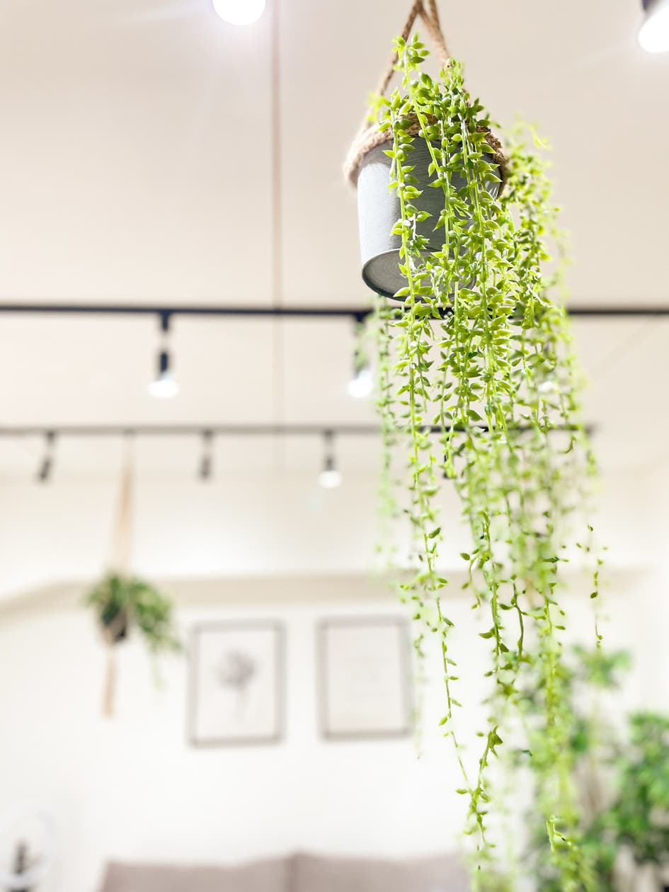 🥳新大阪駅3分〈COCO会議室新大阪〉駅近最大30名/セミナー/貸し会議室/ビジネス&amp;懇親会&amp;撮影/当日予約OKの写真28