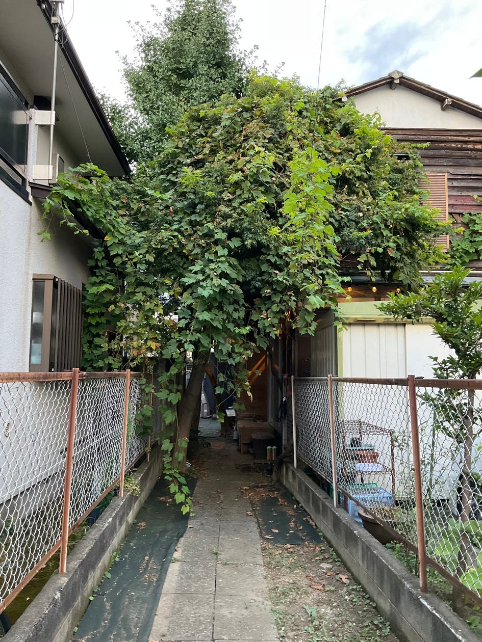 狛江駅徒歩４分。大きな一軒家。閑静な住宅地。A棟の写真6