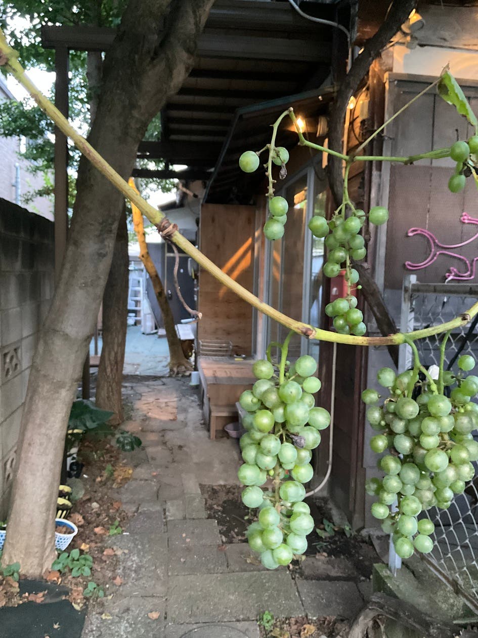 狛江駅徒歩４分。大きな一軒家。閑静な住宅地。A棟の写真7