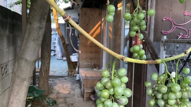 狛江駅徒歩4分。大きな一軒家。閑静な住宅地。A棟の写真7