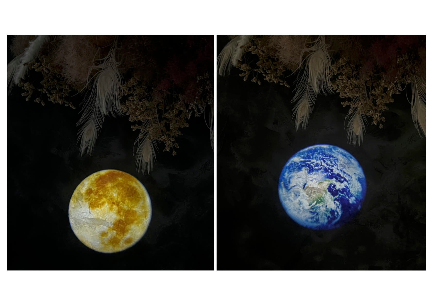 【花と光のハーモニー】自然光｜花天蓋ベッド｜大型ドライフラワー｜漆喰壁・レンガ壁｜ドレス着放題！｜撮影機材無料!の写真17