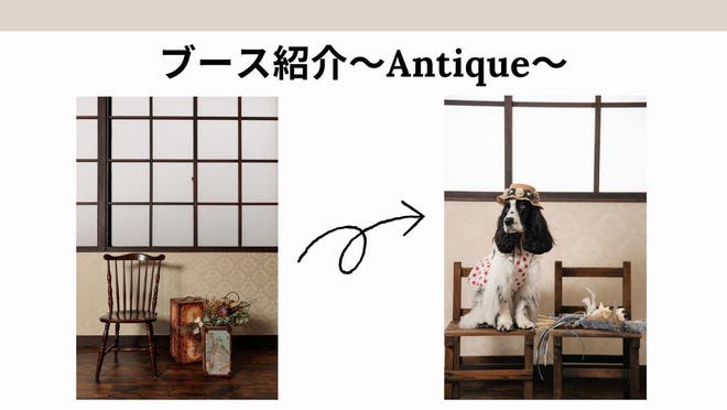 愛知県最大級の広さ!ホワイトorアンティーク選べる6種の背景⭐︎撮影・レンタルスタジオ等使い方は様々☆の写真7