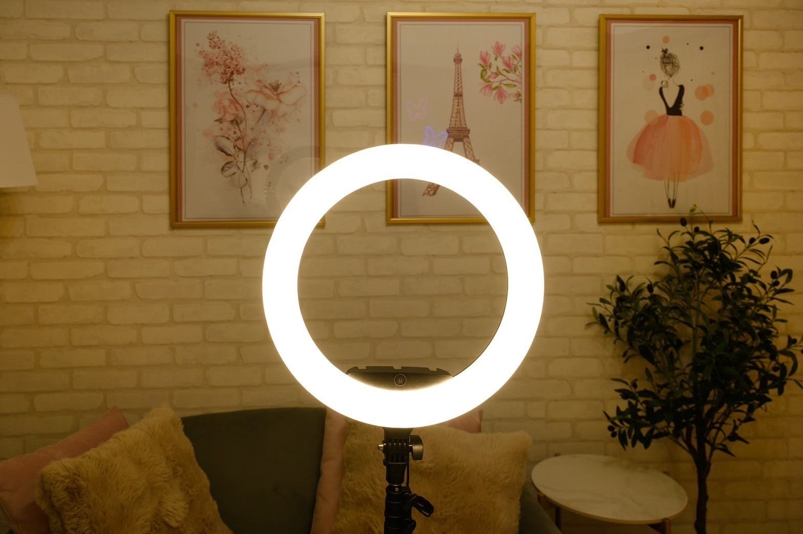 〈梅田すぐ🚶〉オトナの隠れ家💓女子会・本気デートで選ばれる映えスポット🤍ヒカリの幻想空間🦋💫マットレスでゴロゴロ〜🎶の写真28