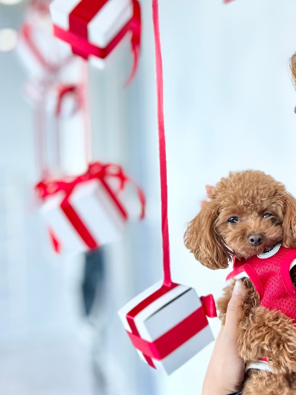 敦賀のまんなか氣比神宮前の多目的スタジオの写真6