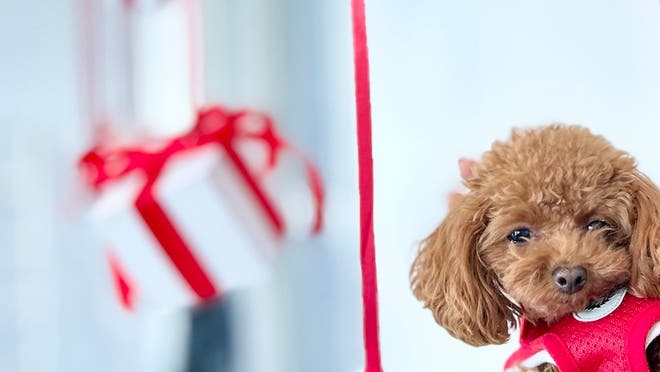敦賀のまんなか氣比神宮前の多目的スタジオの写真6
