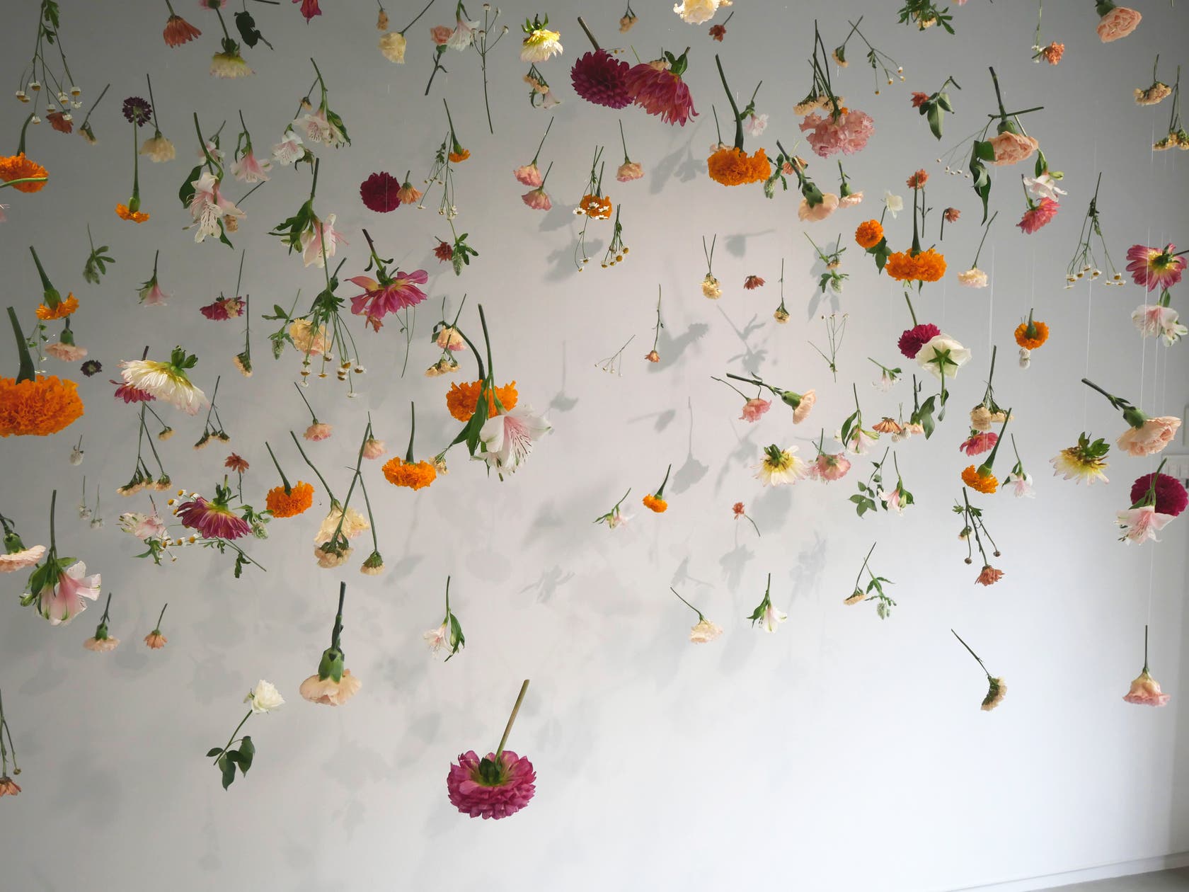 明石駅から徒歩5分のギャラリー・撮影スタジオとして使えるレンタルスペースの写真7