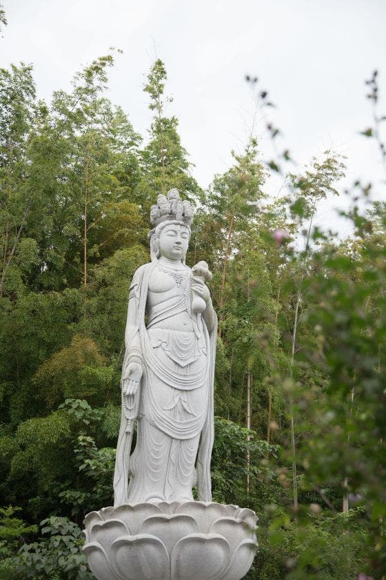 京都のお寺の会館を貸し切って研修や各種イベントにの写真30