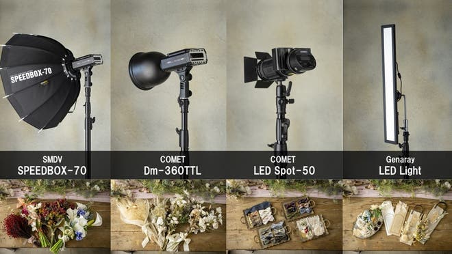 【八王子で最大級の撮影スタジオ】アンティーク|ドライフラワー|七五三|ウェディング|ポートレート|機材貸出|無料駐車場3台の写真13