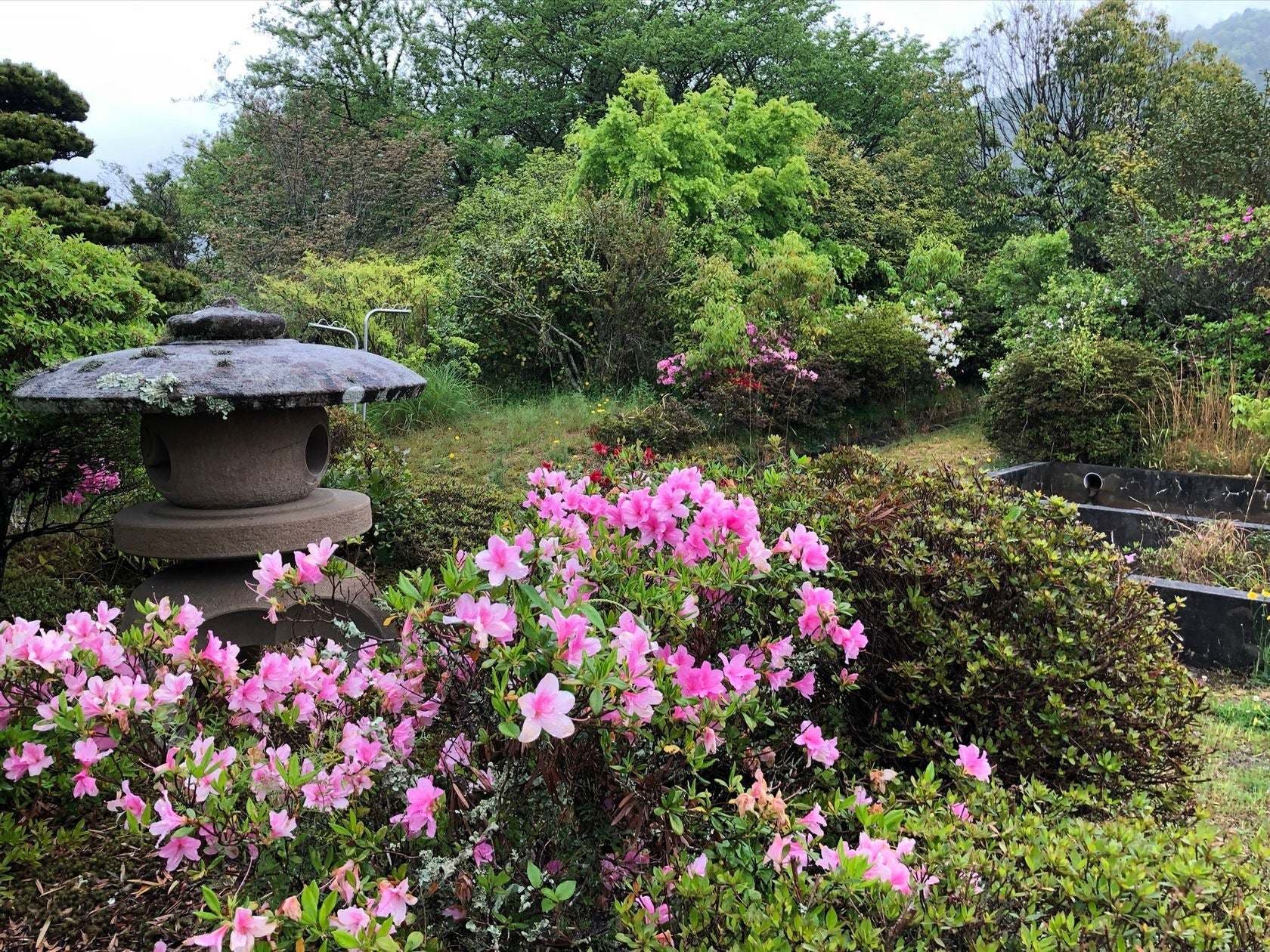 大内ハウス：中国道山口ICから５分の自然豊かな民家。撮影やお茶会にどうぞ。ピアノやギター、撮影用のレフ版もあります。の写真10