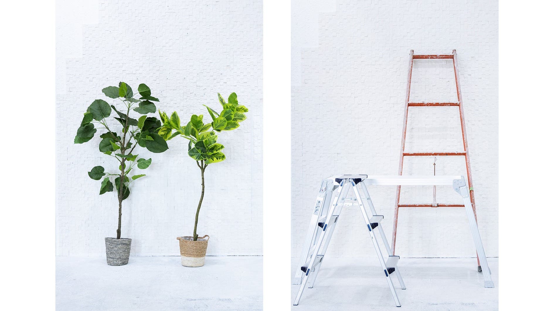 広々１２０㎡超え！自然光☀️たっぷりデザイナーズ撮影スタジオ📷 の写真14