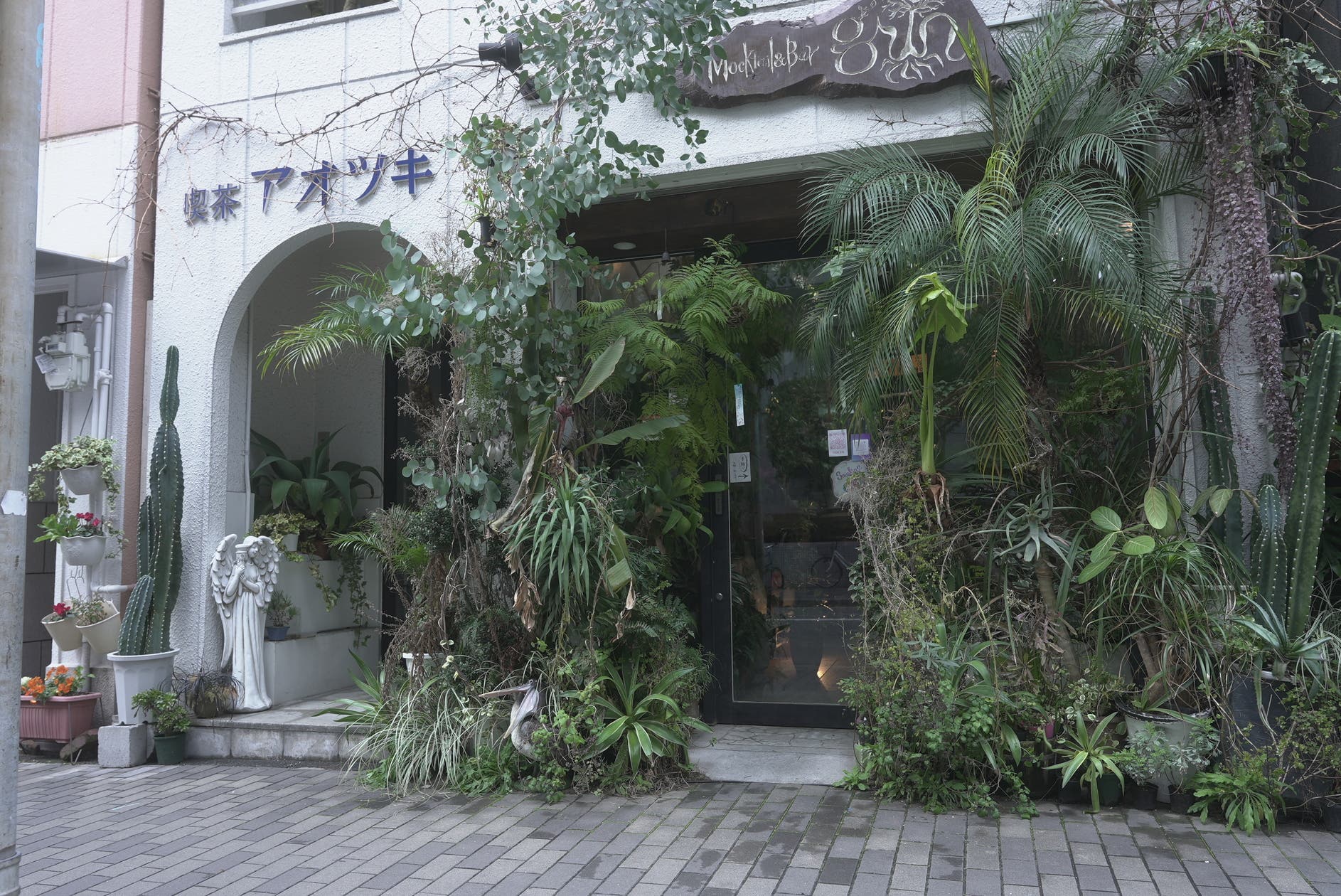 大阪の植物あふれる撮影スタジオ！レイアウト自由なグリーンを活かした多様な撮影！の写真24