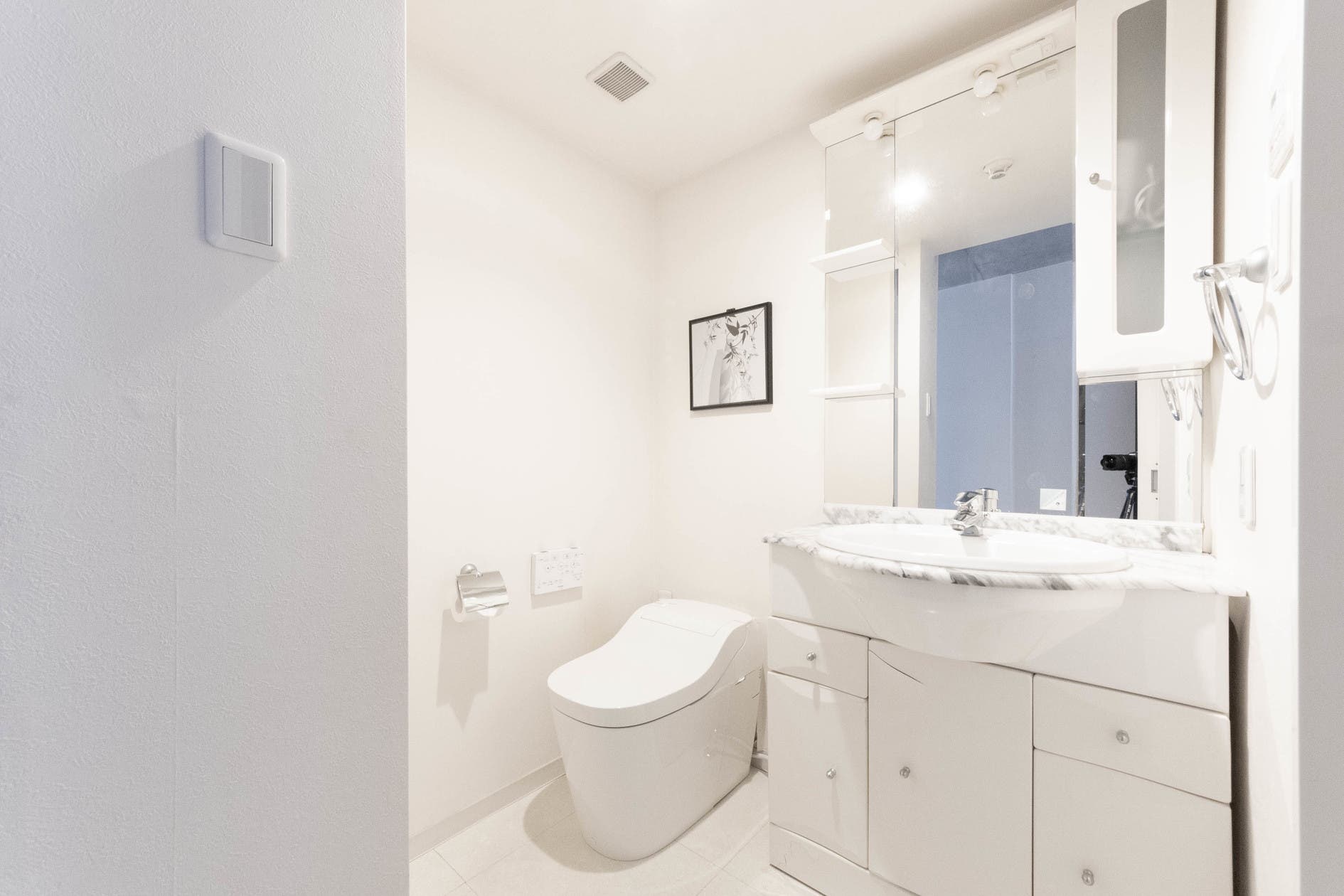 Ｈ１．豊富なグリーンとナチュラルな自然光がおすすめ　原宿・表参道のハウススタジオの写真24