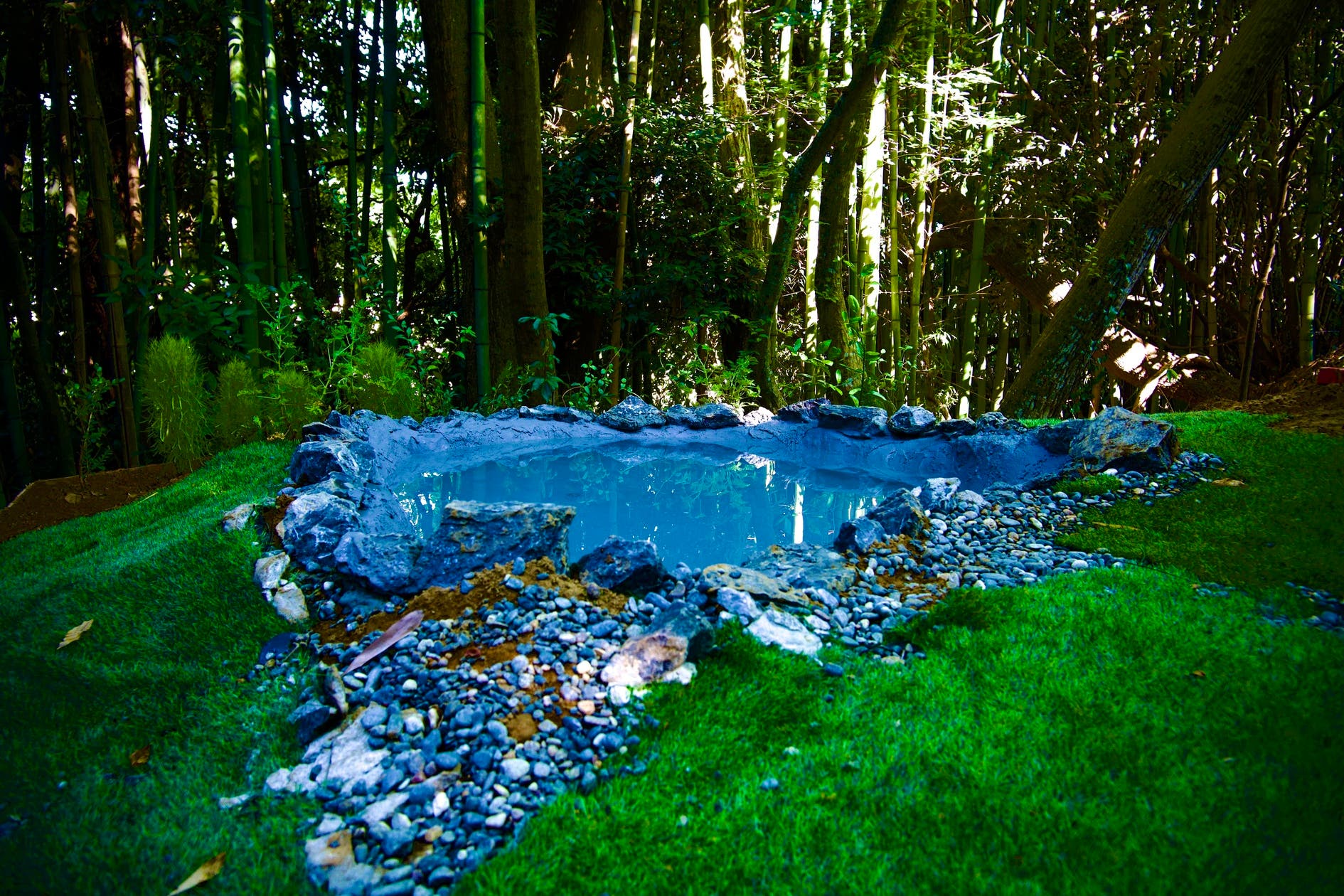 泉(プール)の画像1