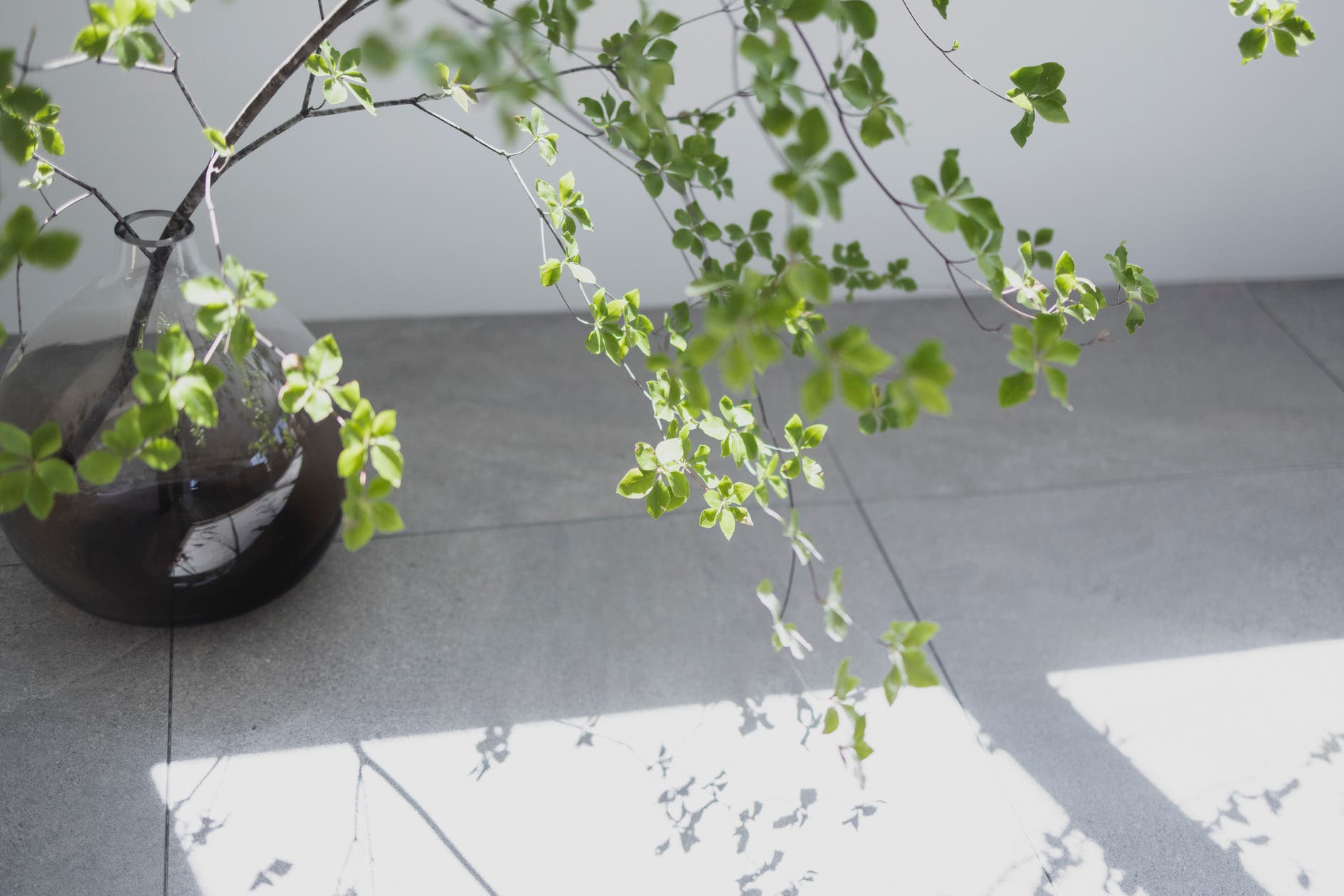 【表参道駅徒歩3分】アイランドキッチン完備 自然光溢れる撮影スタジオの写真10