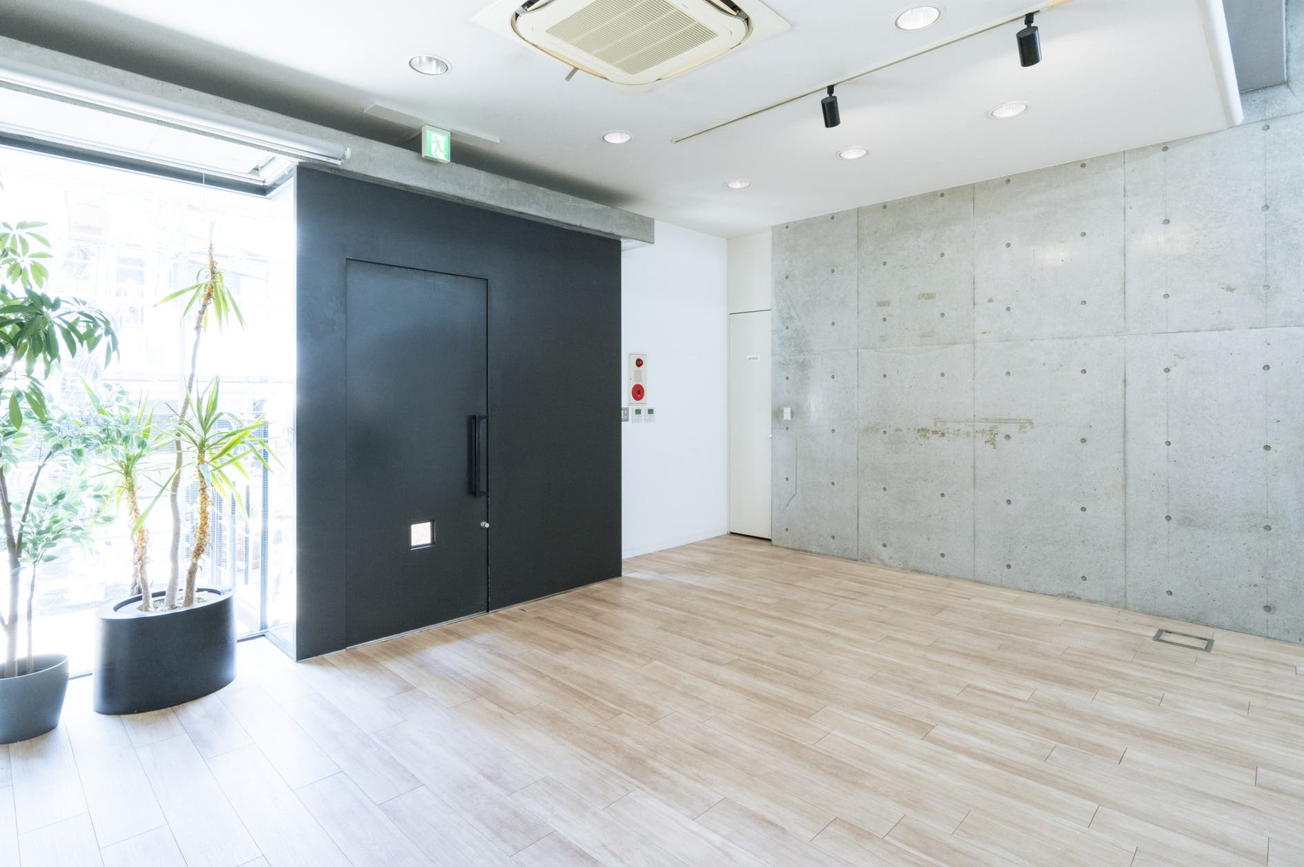 動物可🐶白壁×コンクリート造り×天高3.65ｍの自然光が入る居心地◎のオシャレな空間！KITAYAPARK徒歩１分♪の写真5