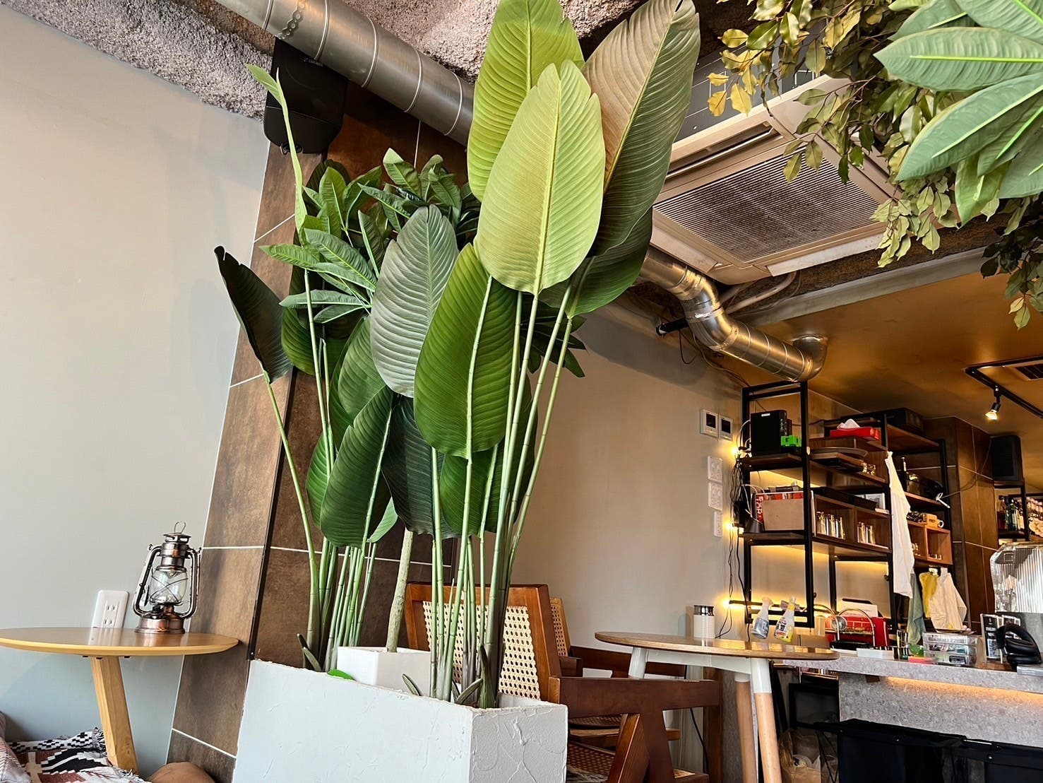 【渋谷駅 徒歩5分】ロケ収録、YouTube撮影📷街コン・合コン✨懇親会・オフ会🍃ポートレート🌟会議・控室✨MV・PV🎥の写真8