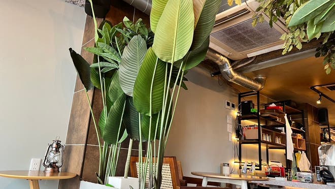 【渋谷駅 徒歩5分】ロケ収録、YouTube撮影📷街コン・合コン✨懇親会・オフ会🍃ポートレート🌟会議・控室✨MV・PV🎥の写真8