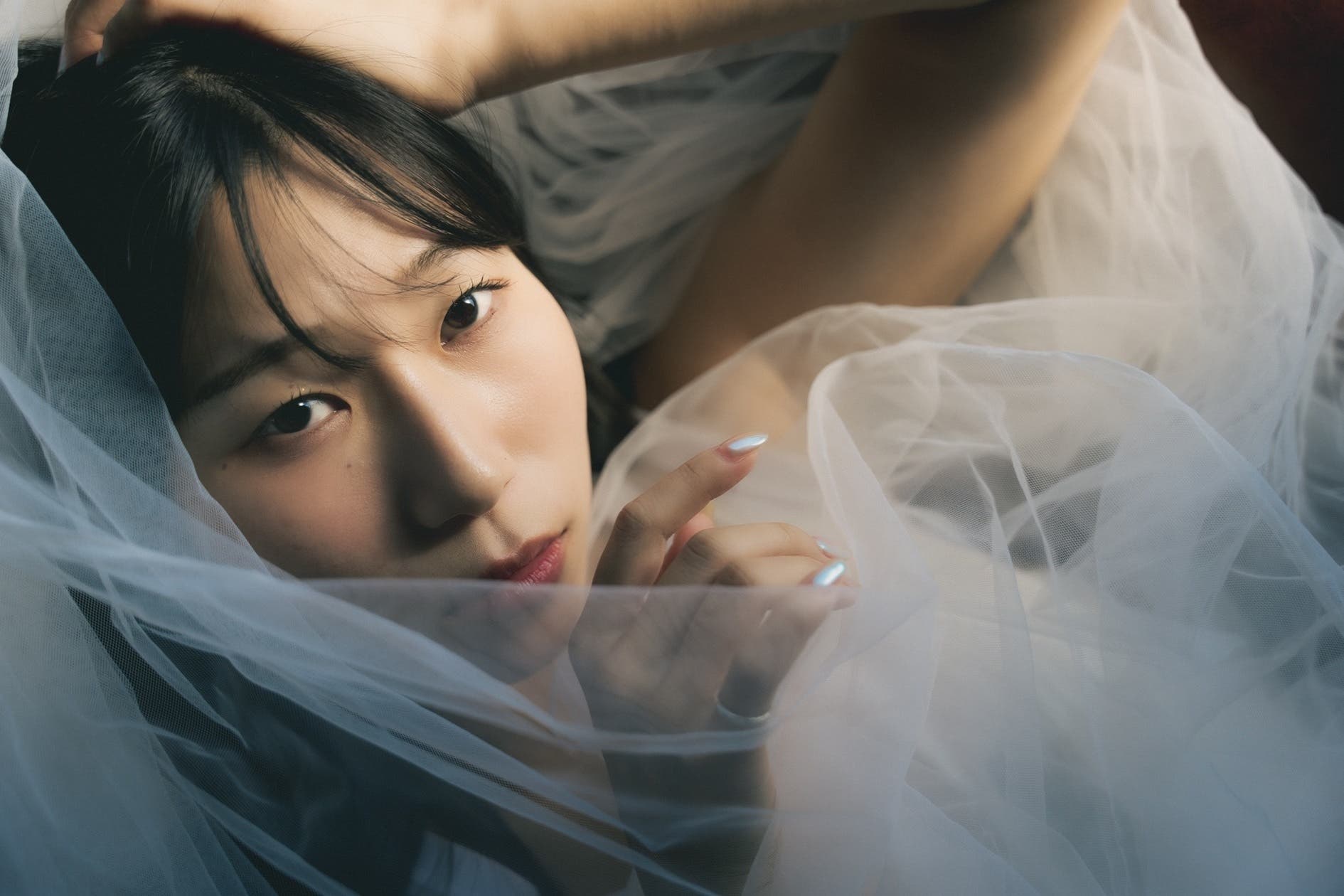 【控室有】モルタル・クンクリート・漆喰壁のある撮影スタジオ/コニカルスヌート/スワッグ/観葉植物/自然光の写真25