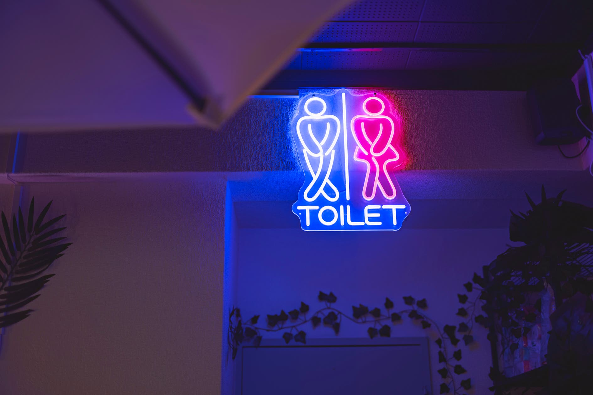 スペモ🎬クリスマス🎄学割👨‍🎓新橋駅4分❗プロジェクター🎥映画鑑賞🎞️デート💕570_LEONEXCINEMA新橋の写真22