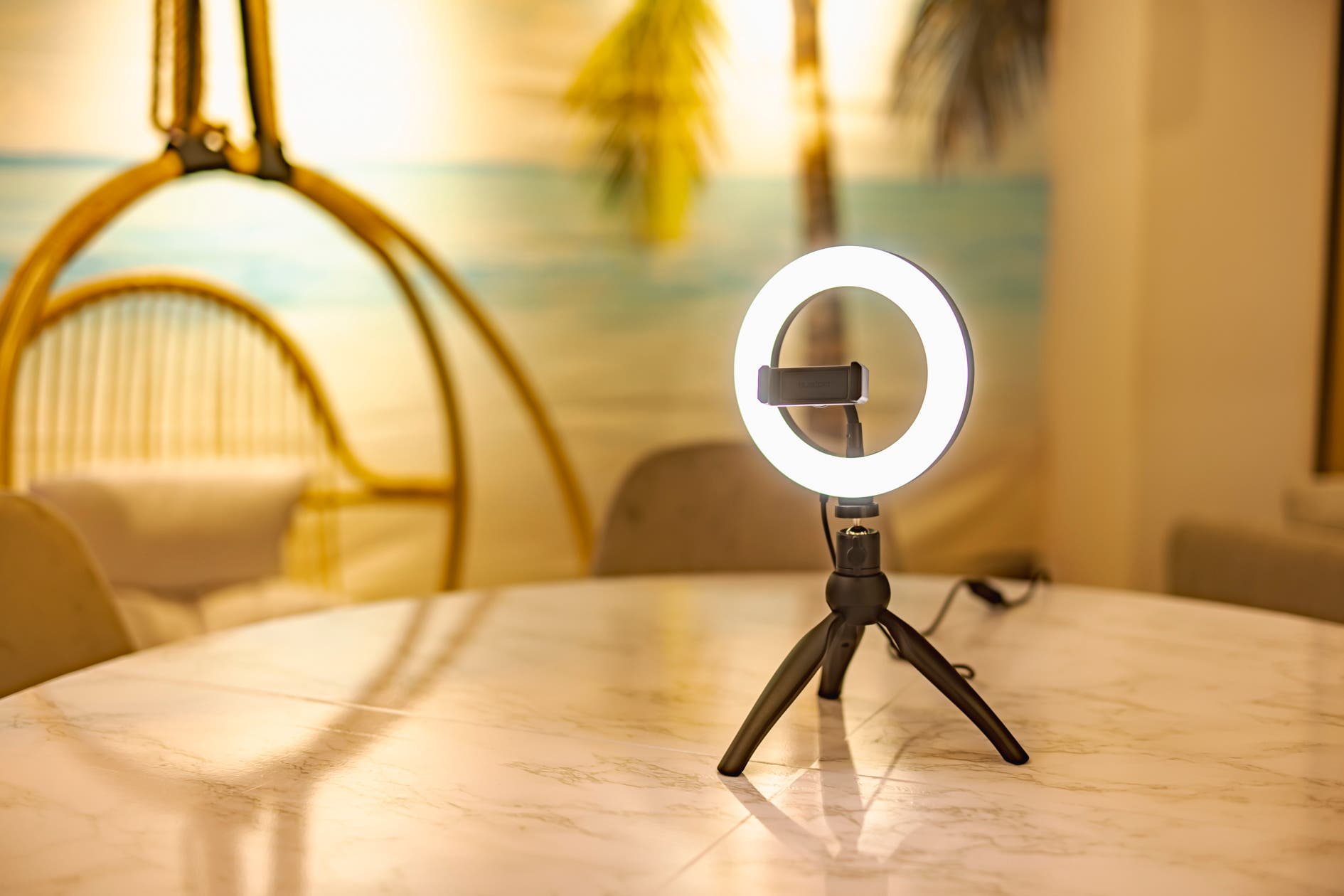 スペモ🎬クリスマス🎄学割👨‍🎓新橋駅4分❗プロジェクター🎥映画鑑賞🎞️デート💕570_LEONEXCINEMA新橋の写真28