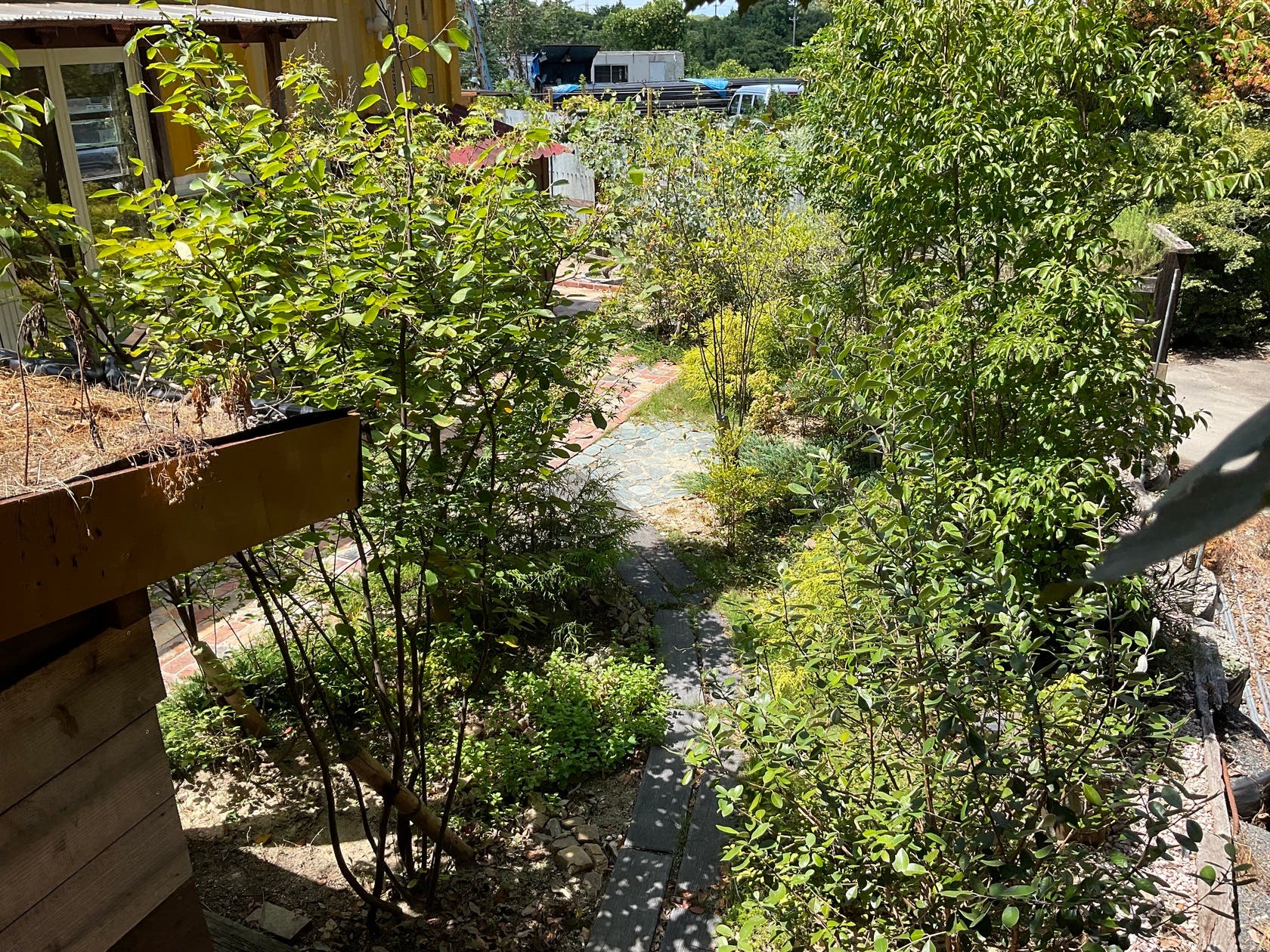 【🌟ワークショップ・女子会に最適🌟】黄色いコンテナのカフェの写真7