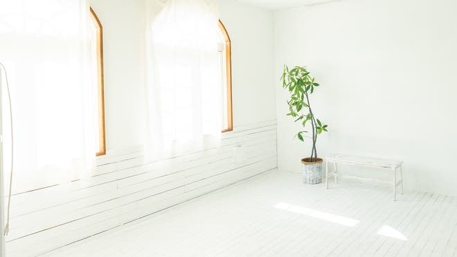 【茅ヶ崎駅 徒歩6分/】ペット撮影|グループ撮影|ウェディング|マタニティ|バースデー|PV撮影|商品撮影の写真2