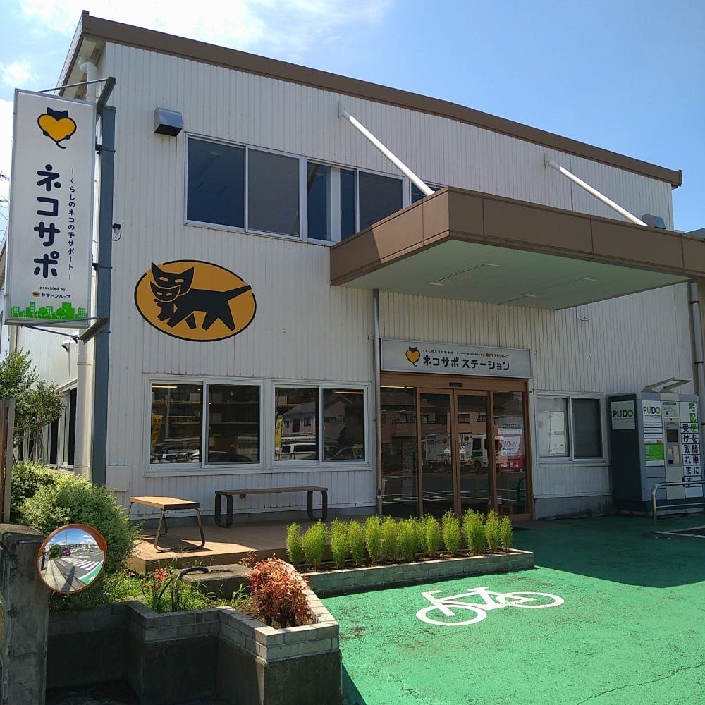 レンタルスペース①　10/1オープン✨JR常磐線「馬橋駅」「新松戸駅」徒歩10分！ネコサポステーション内のレンタルスペースです。の写真6