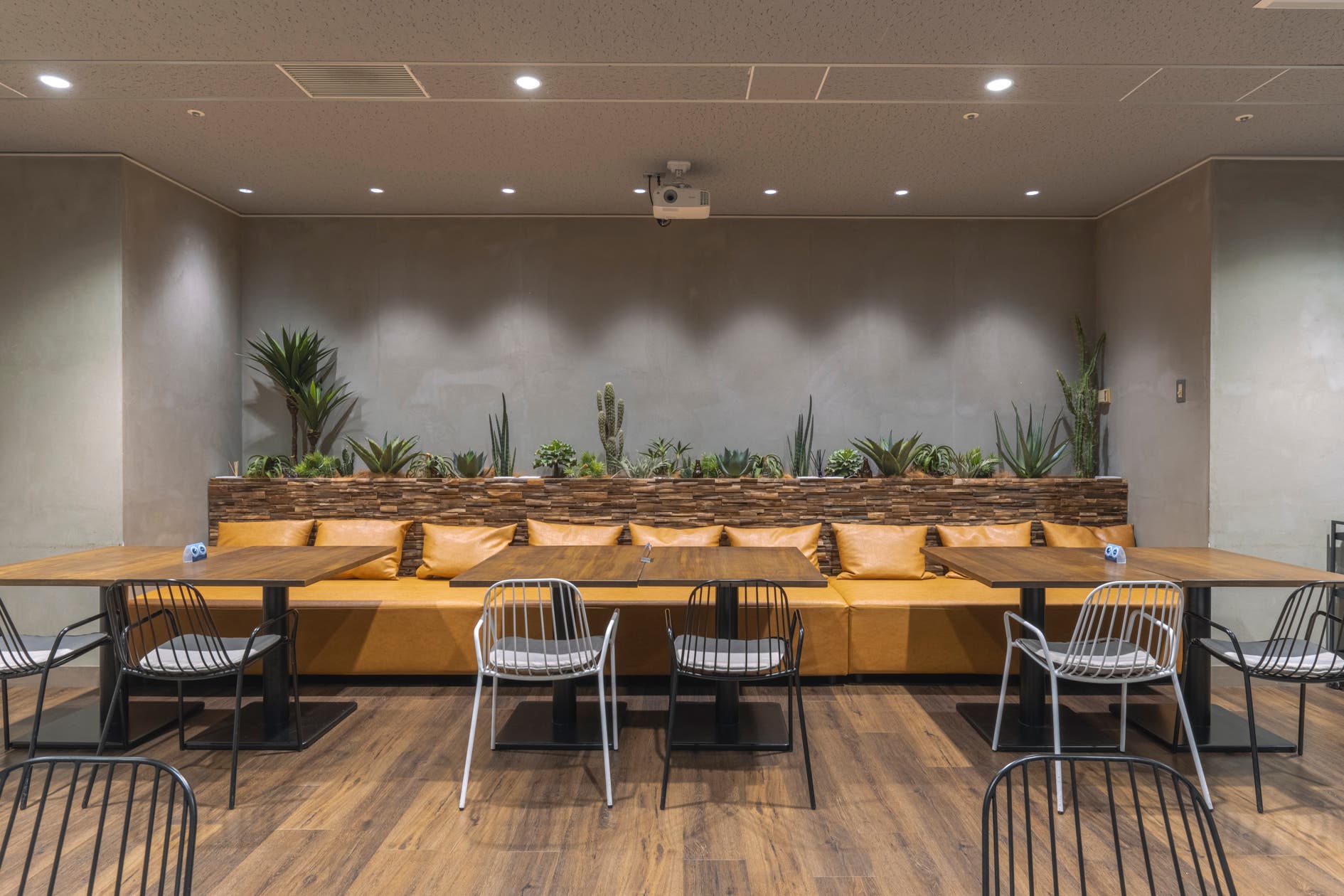 スペモ🏰30人収容🙆‍♀️渋谷駅5分💨イベント🎉パーティ🎊550_LULLTECHBEACH-Work渋谷の写真8