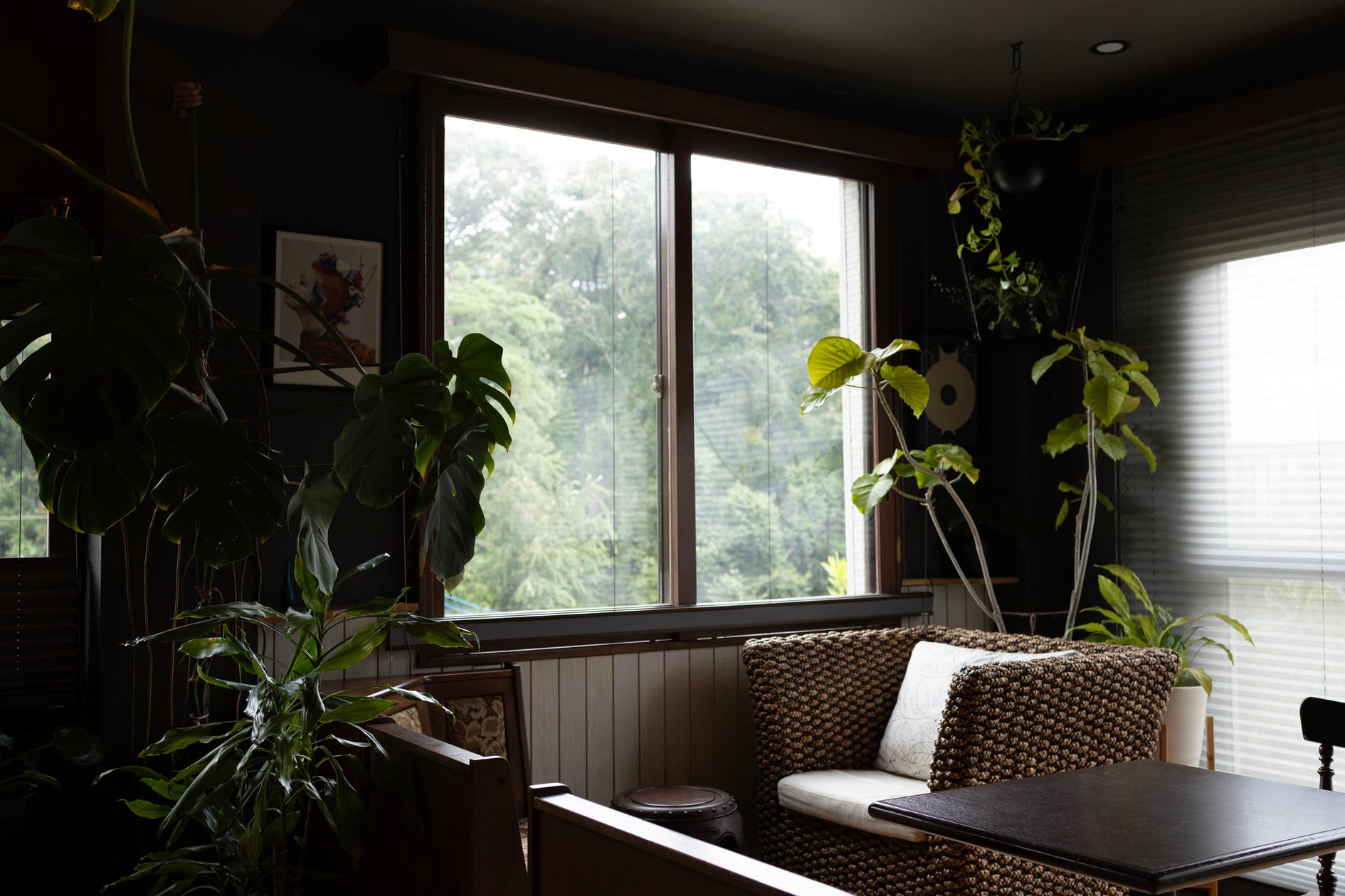 【aytenary】本格的キッチンあり！　緑に囲まれた落ち着くスペース。の写真6