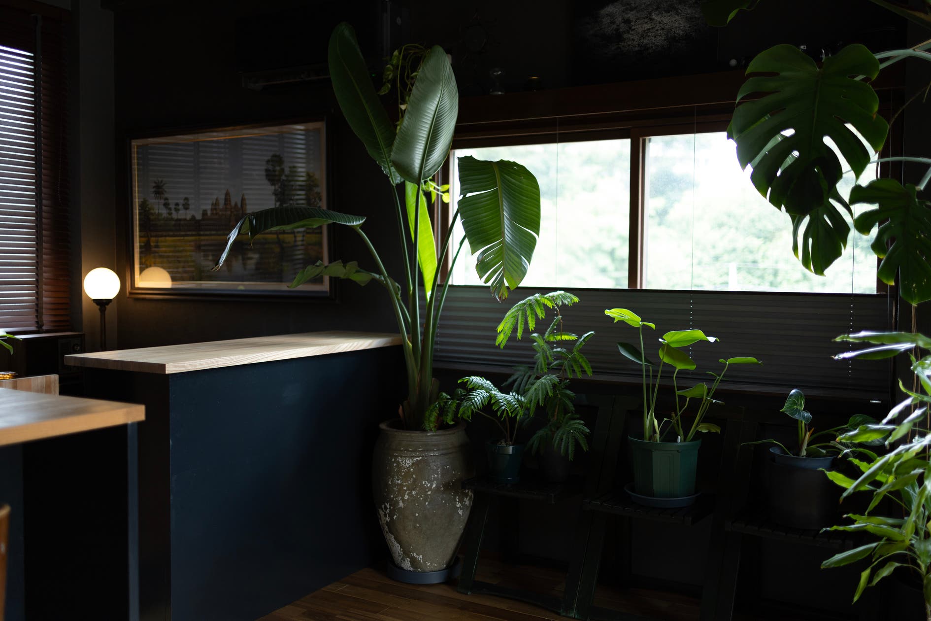 【aytenary】本格的キッチンあり！　緑に囲まれた落ち着くスペース。の写真7