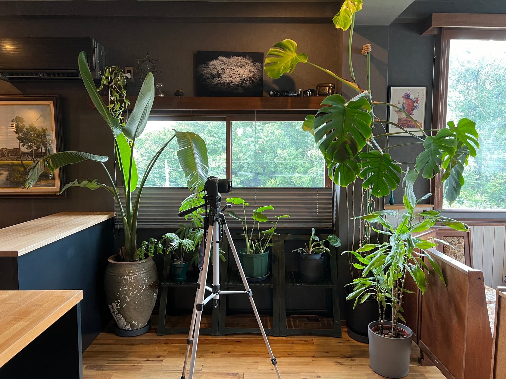 【aytenary】本格的キッチンあり！　緑に囲まれた落ち着くスペース。の写真14