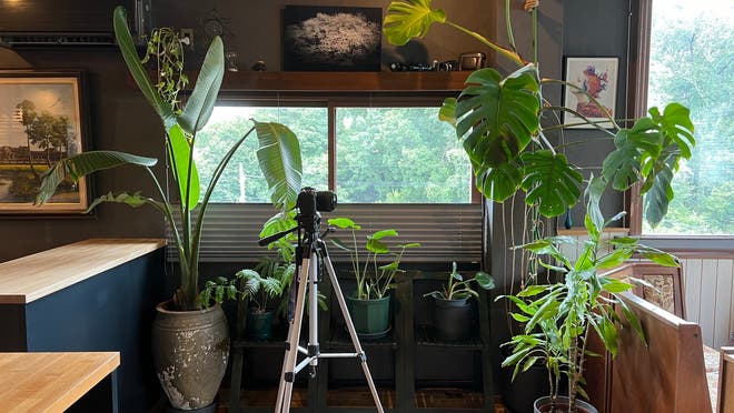 【aytenary】本格的キッチンあり! 緑に囲まれた落ち着くスペース。の写真14