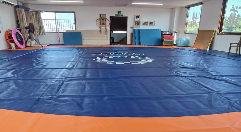 足立区☆葛飾区☆格闘技や運動、子供とママ会、撮影に!!全面80㎡、レスリングマット敷き！子ども用体育用具多数、無料貸出し!