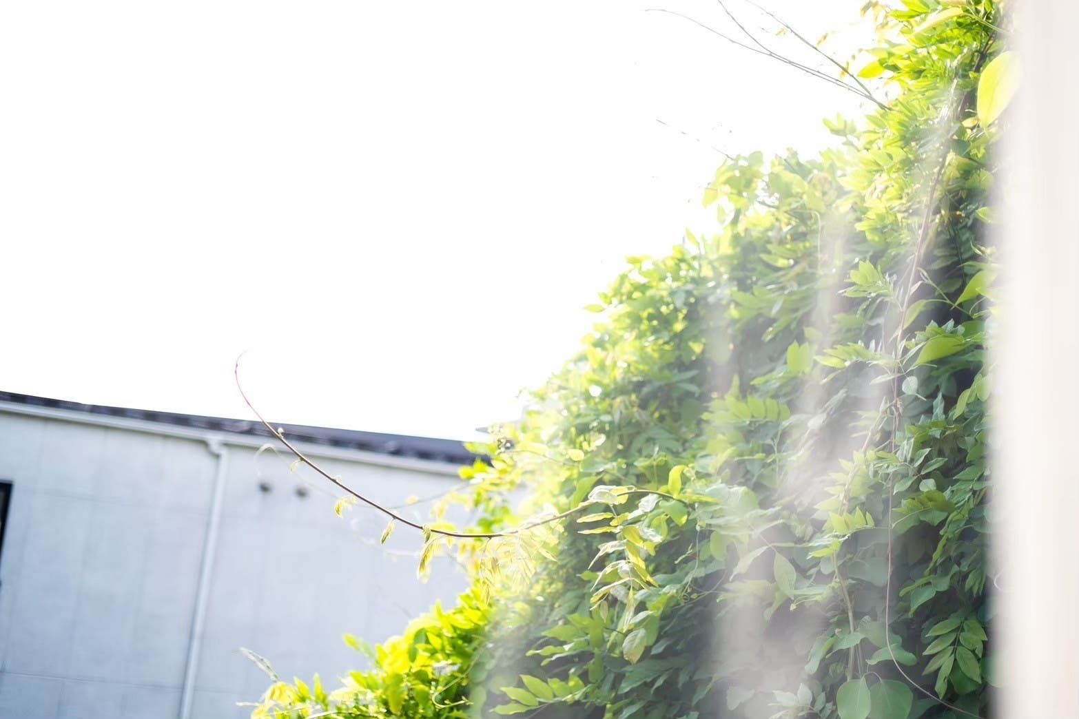 NEW!【小さなおうち貸切🏠】北欧風２K🌲　簡易キッチン有で多用途で利用できる広々スペース💛  の写真15