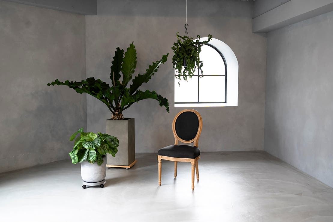 広さ200平米　天井高３mの南向き一面に窓がある自然光が明るい大阪レンタルスタジオRoom01の写真21