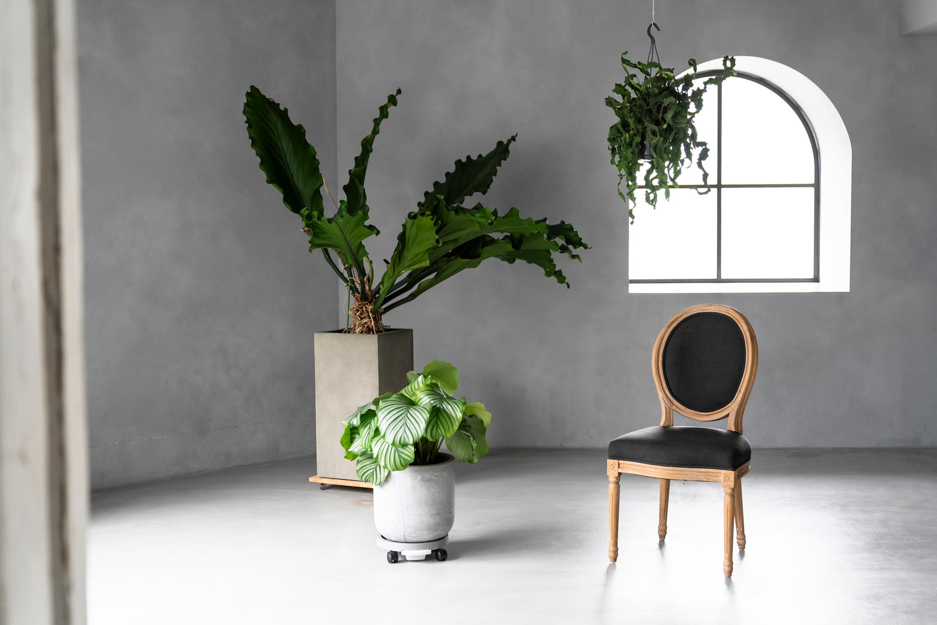 広さ200平米　天井高３mの南向き一面に窓がある自然光が明るい大阪レンタルスタジオRoom01の写真23