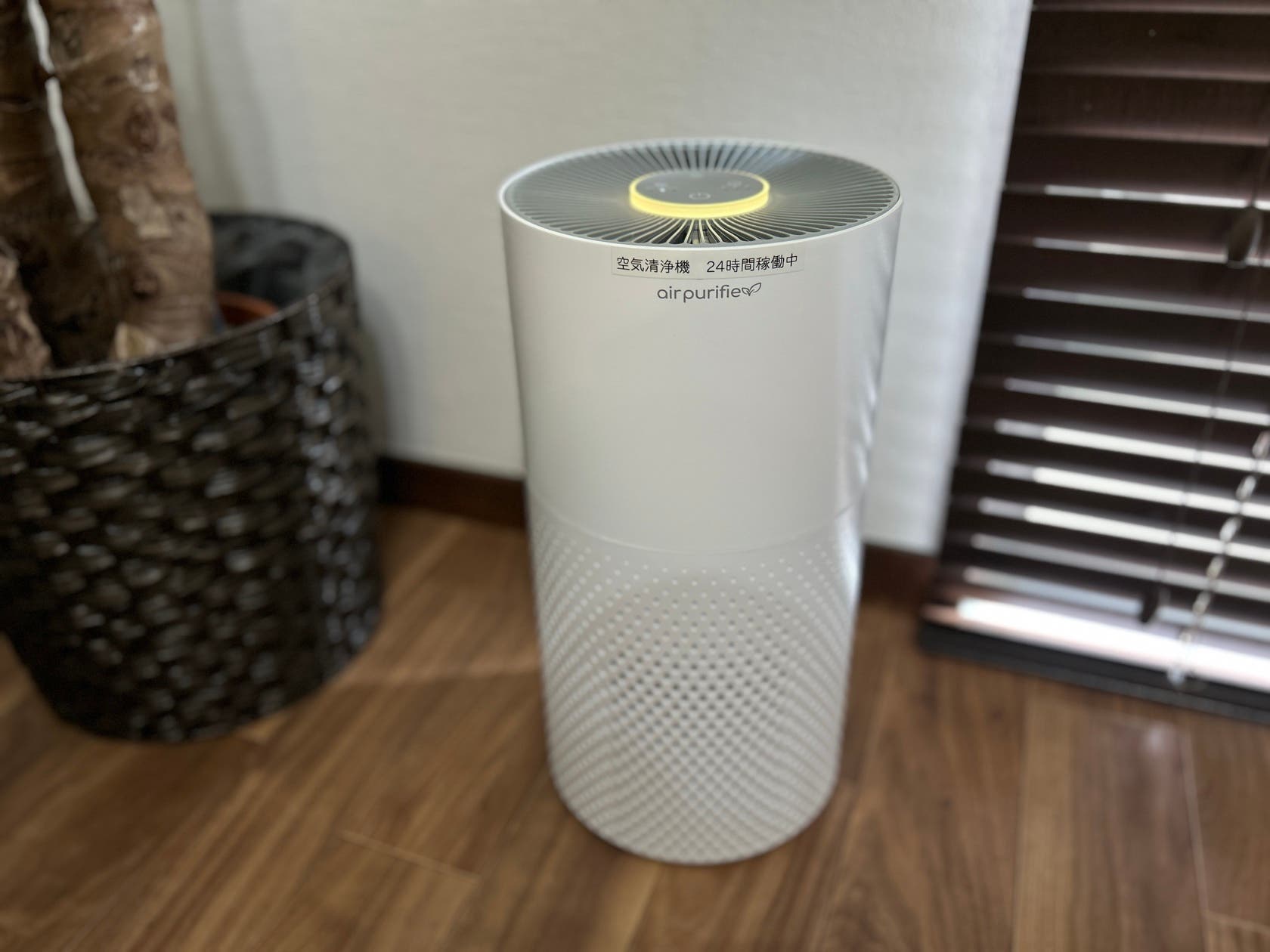 【バリ島を連想する空間】天神南駅徒歩1分 | 完全個室 | マッサージ・美容レッスン・エステ・ドライスぺ・ネイル・ヨガetcの写真18