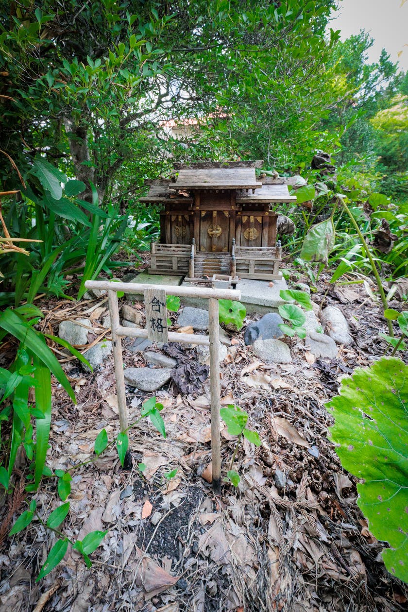【長野・松本】住宅街の森の中にあるお茶室　ふちあん村　無料駐車場の写真19